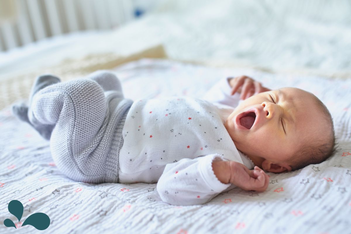 Newborn Hunger Cues–Learn Which Are Early, Mid, and Late-stage - The ...