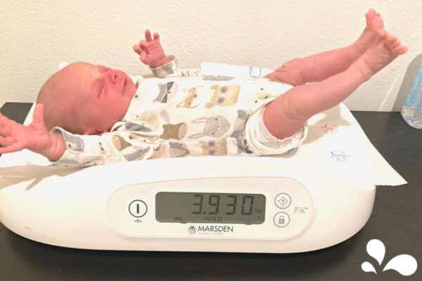 Newborn Weight Loss: What to Expect - The Lactation Collection