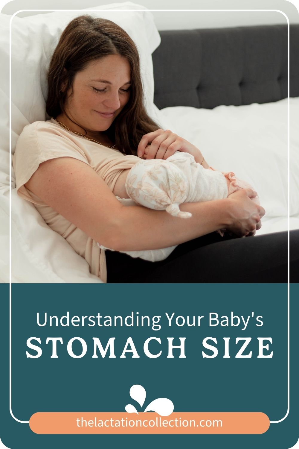 Understanding Your Baby’s Stomach Size and How Much Milk They Need ...