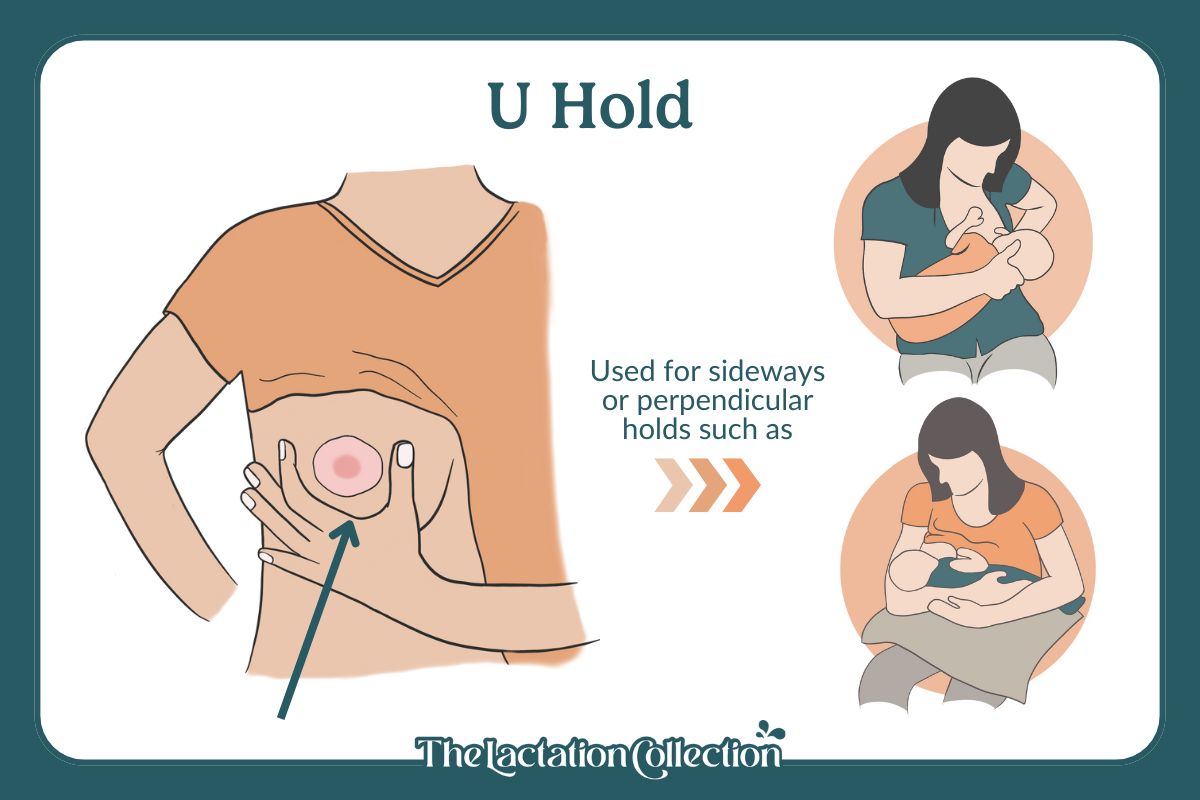 How To Breastfeed With Flat Or Inverted Nipples 10 Tricks To Make It 7563