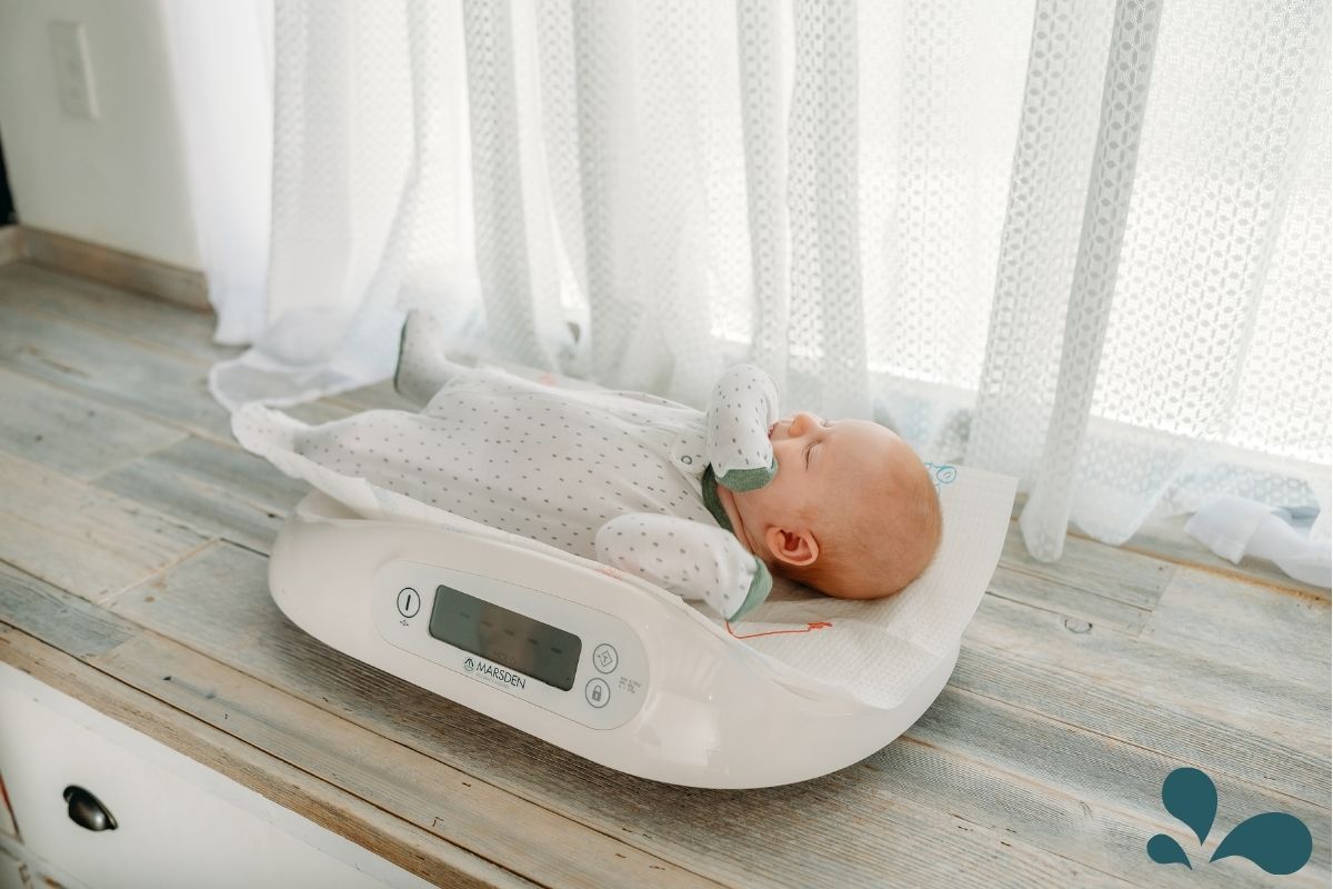 Understanding Your Baby S Weight Gain In The First Year The Lactation