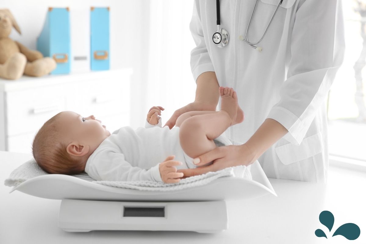 Understanding Your Baby's Weight Gain in the First Year - The Lactation ...