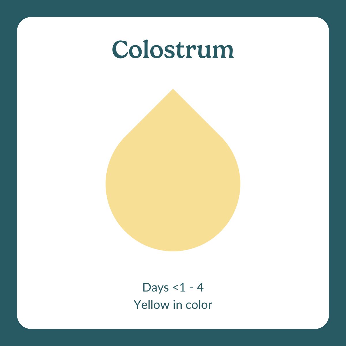 colostrum - Breastfeeding Glossary by The Lactation Collection