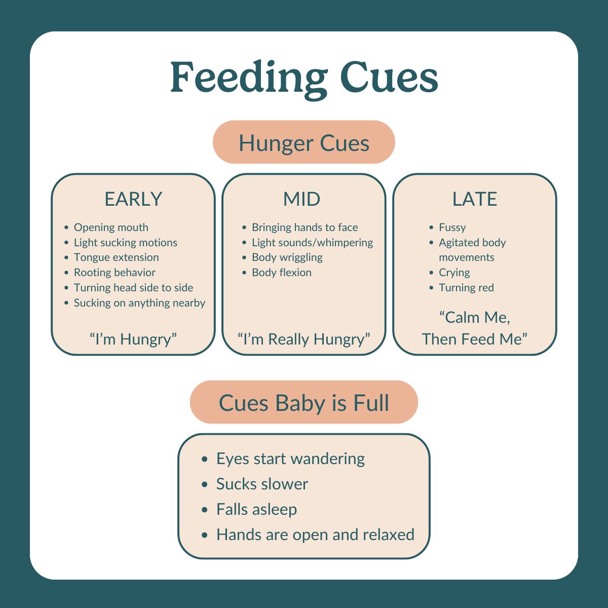 feeding cues - Breastfeeding Glossary by The Lactation Collection