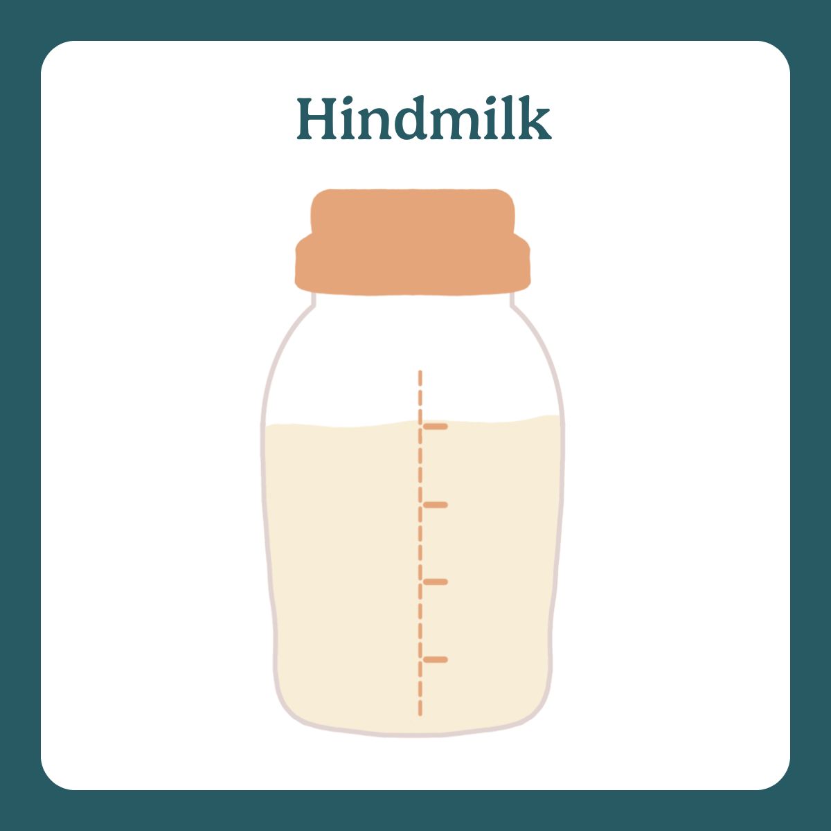 hindmilk - Breastfeeding Glossary by The Lactation Collection