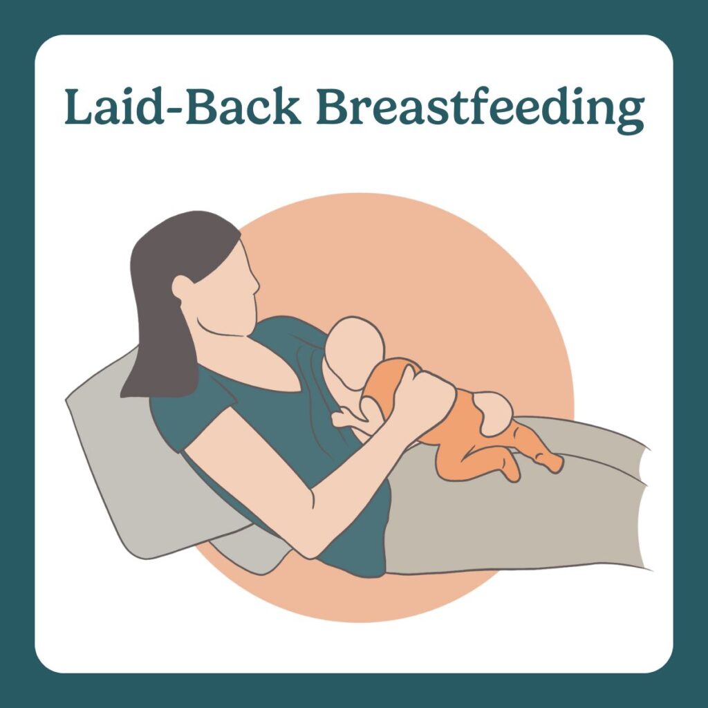 laid-back breastfeeding - Breastfeeding Glossary by The Lactation ...