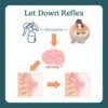 let down reflex - Breastfeeding Glossary by The Lactation Collection