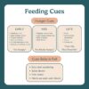 feeding cues - Breastfeeding Glossary by The Lactation Collection
